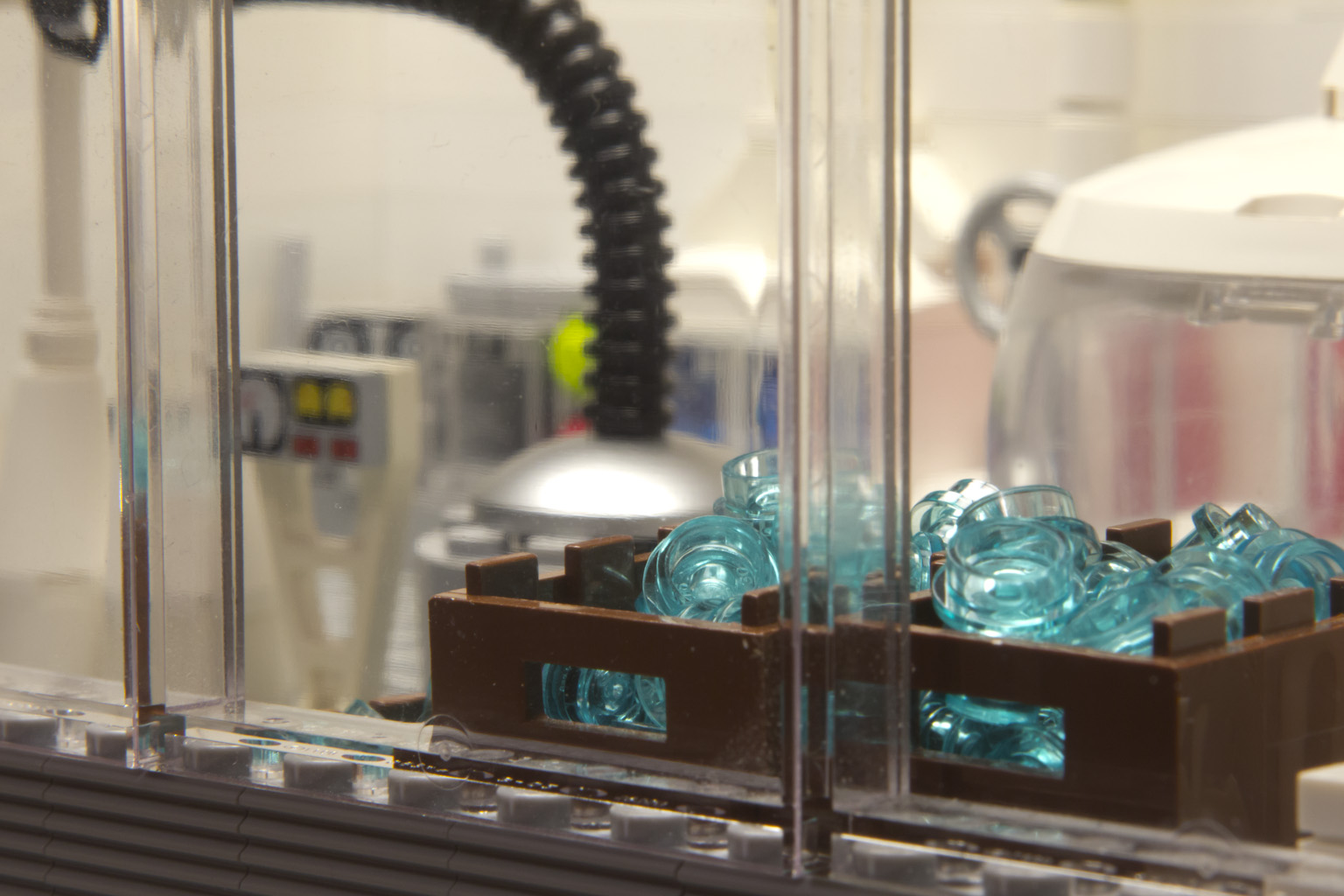 AquaMorph Productions » About