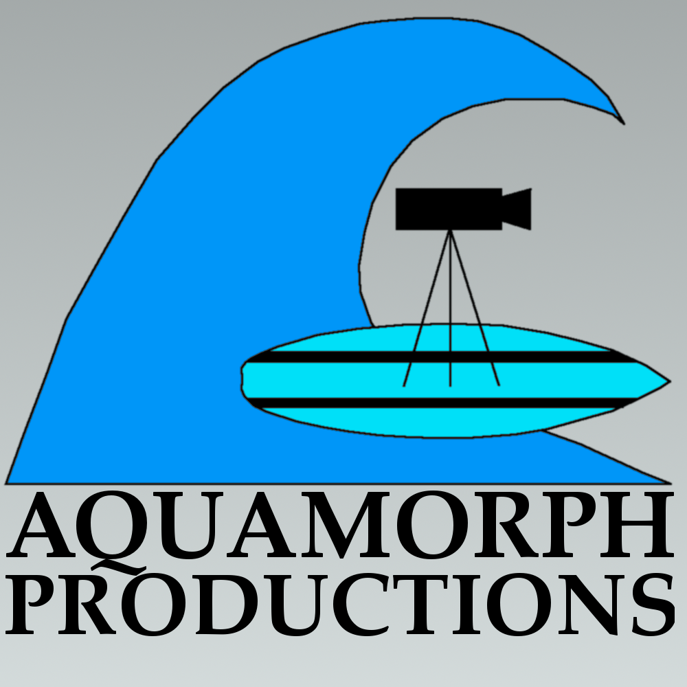 AquaMorph Productions » New Branding & Reflection on Past Branding